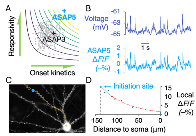 Hot Plasmids: Winter 2025